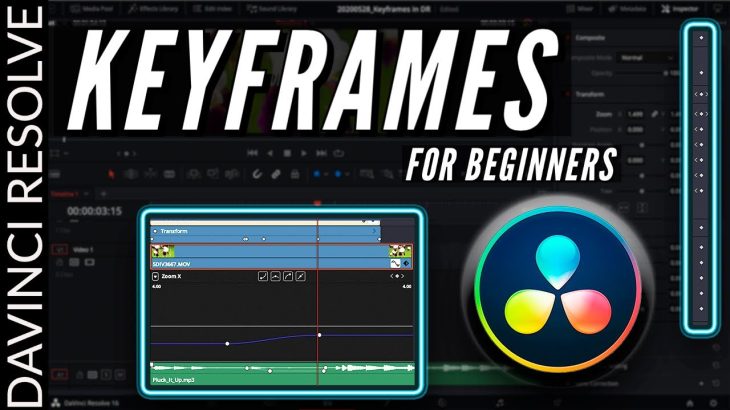  Davinci Resolve 17 KEYFRAME Basics In DAVINCI RESOLVE 16 Beginner Tutorial Davinci Resolve 